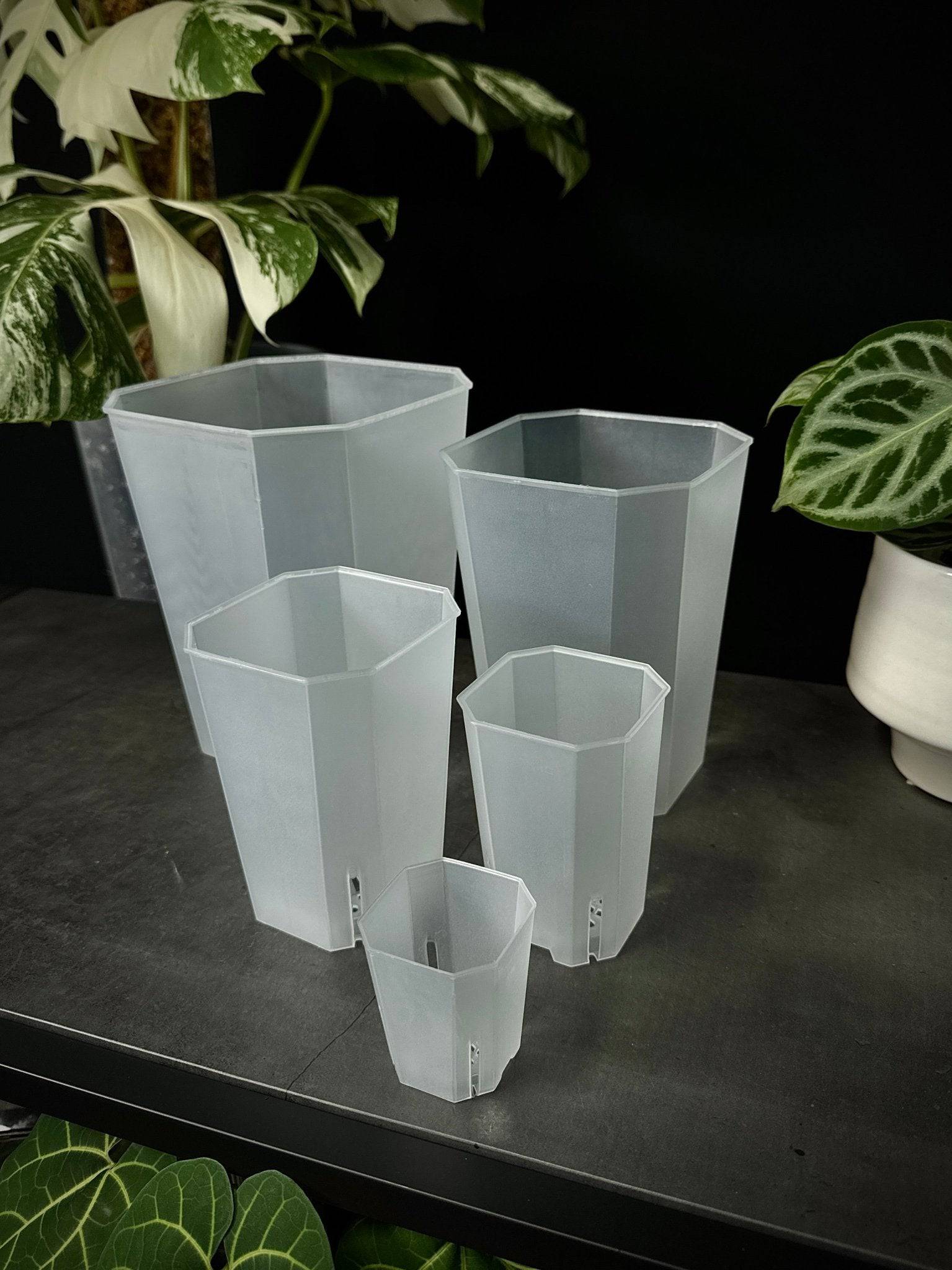 Squared Aroid Tower Pots