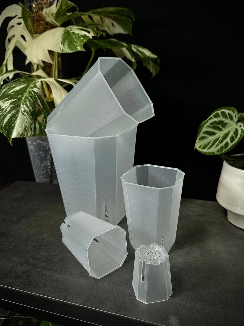 Squared Aroid Tower Pots