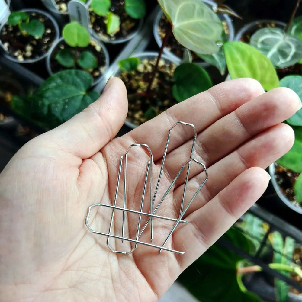 Metal Plant Pins (Large) - 5 pcs - SMUKHI