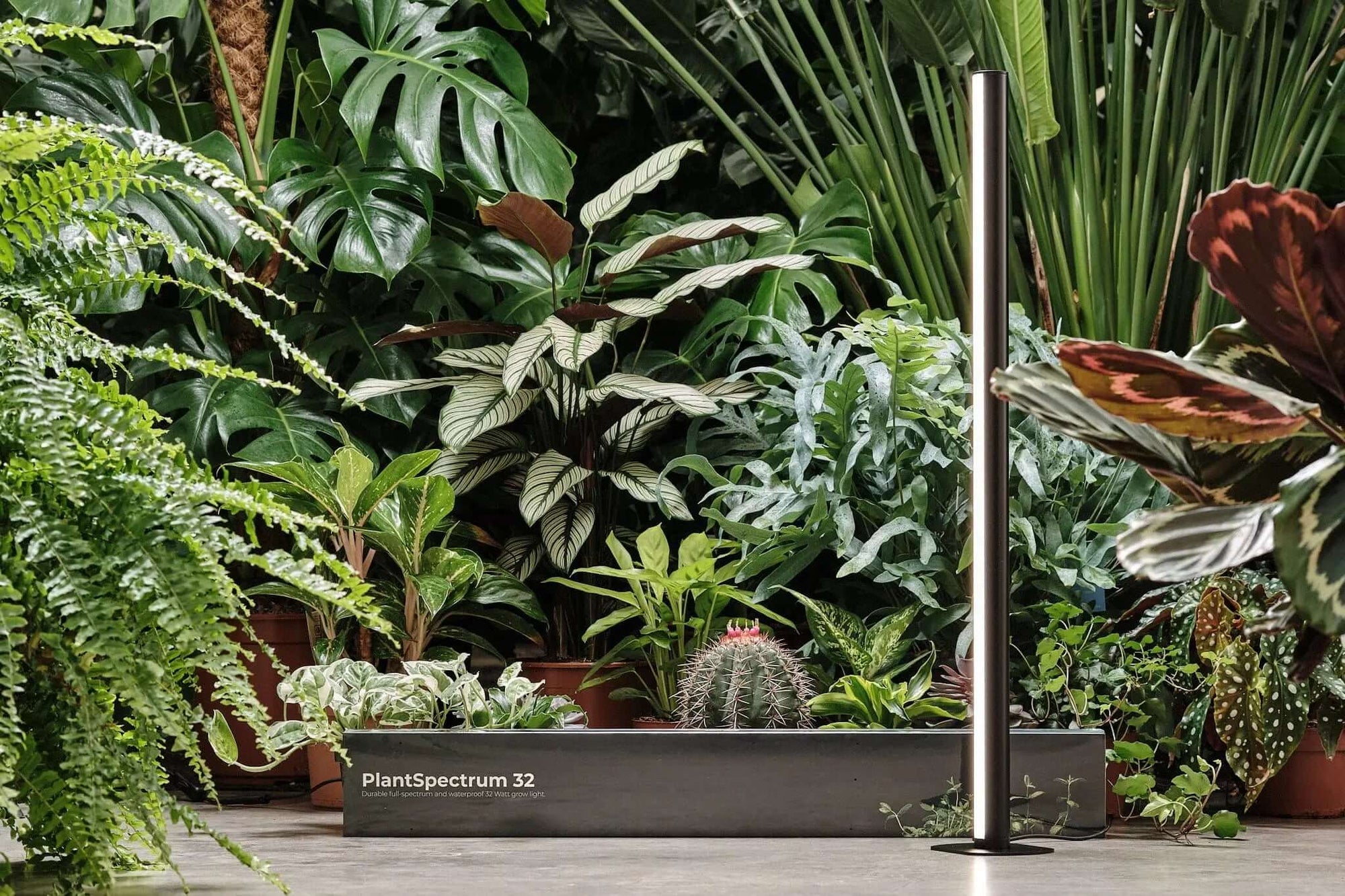 Mother PlantSpectrum 32 - Full-spectrum LED Growlight - SMUKHI