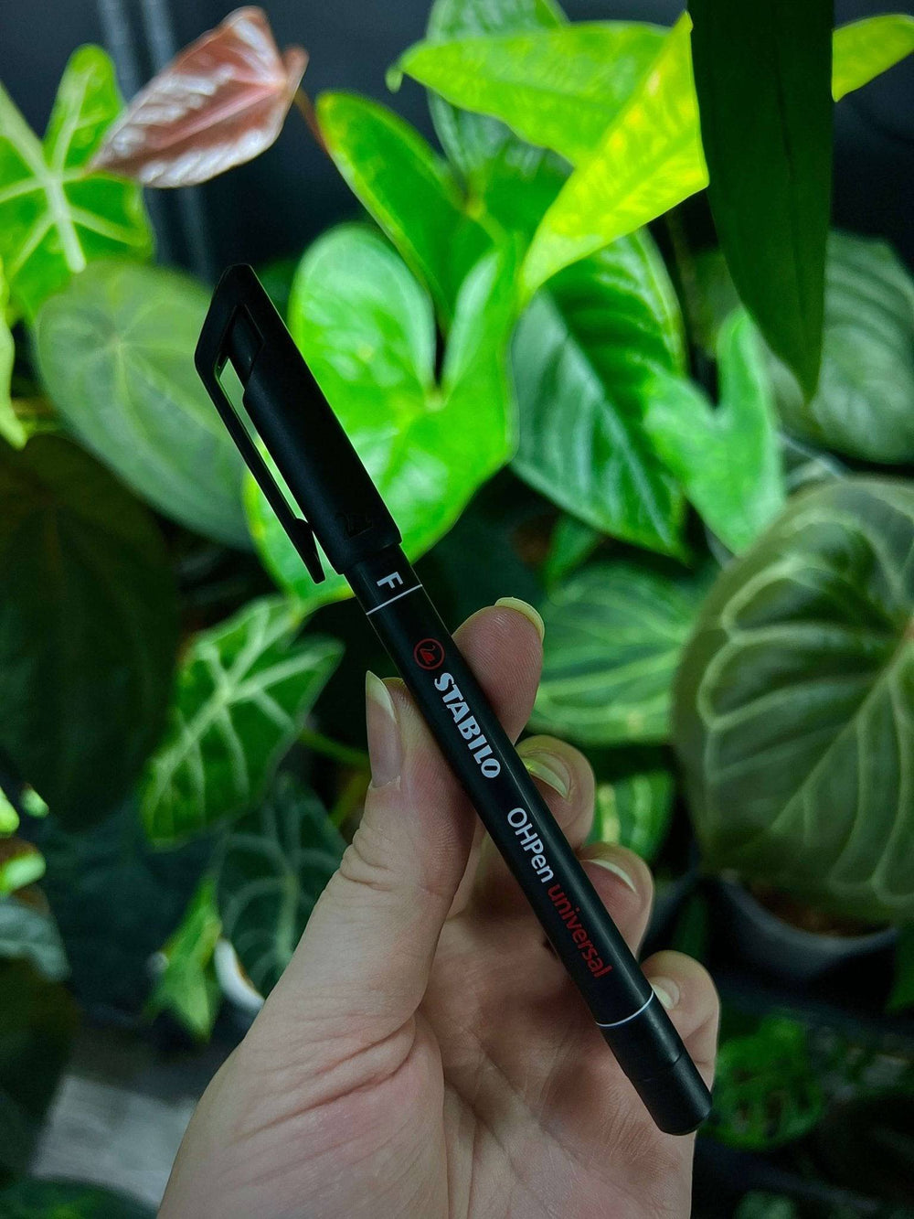 Permanent Felt Tip Pen - SMUKHI Plant Shop