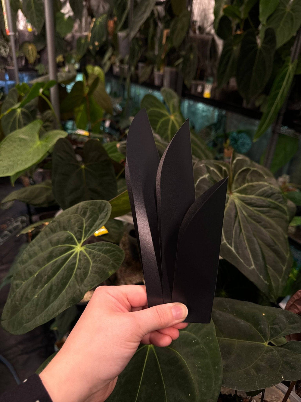 Pollector - Pollen Collection Sheet - SMUKHI